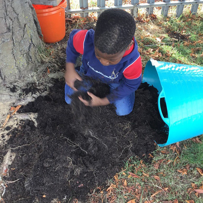 Weekly roundup - 23 September 2022 | Springfield Bees