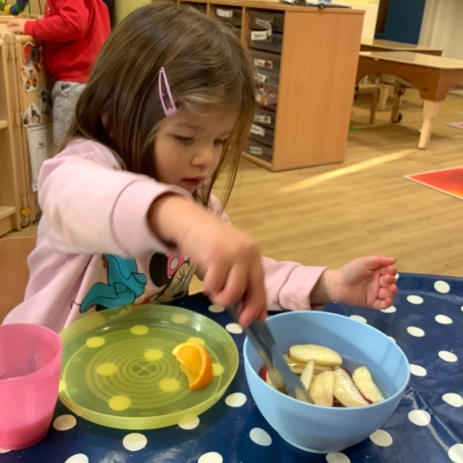Weekly roundup 9 December 2022 | Springfield Bees