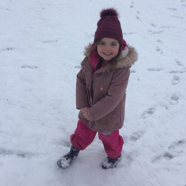 Weekly roundup 16 December 2022 | Springfield Bees