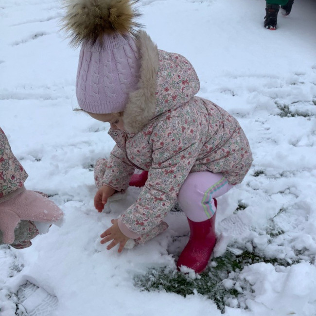 Weekly roundup 16 December 2022 | Springfield Bees