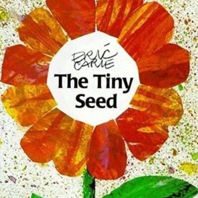 Weekly roundup 10 February 2023 | Springfield Bees