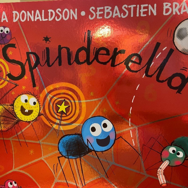 Weekly roundup 21 April 2023 | Springfield Bees