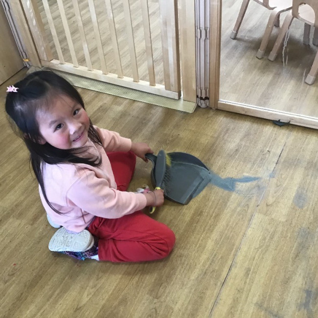 Weekly roundup 19 May 2023 | Springfield Bees