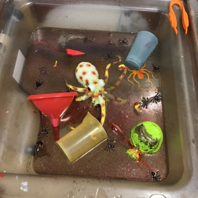 Weekly Roundup - 3 November 2023 | Springfield Bees