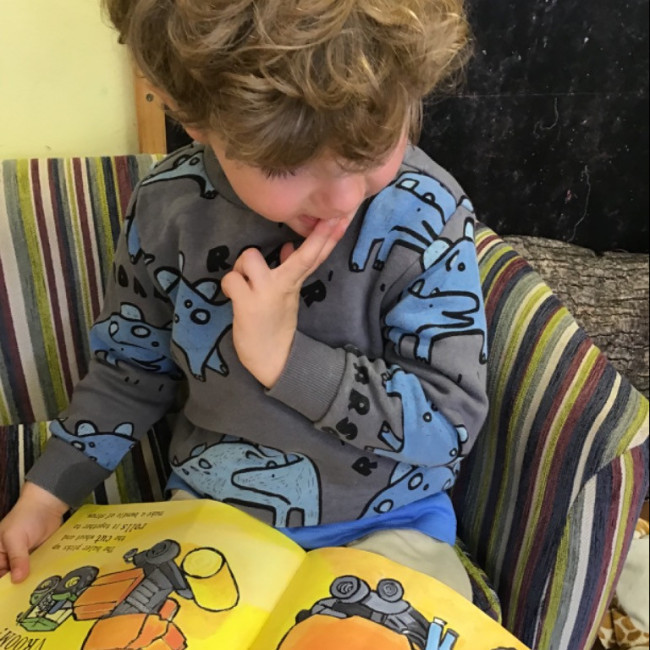 Weekly roundup - 10 May 2024 | Springfield Bees