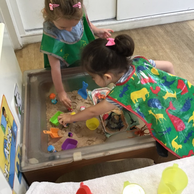 Weekly Roundup 5 July 2024 | Springfield Bees