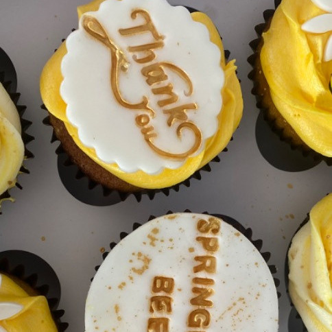 Weekly Roundup 19 July 2024 | Springfield Bees